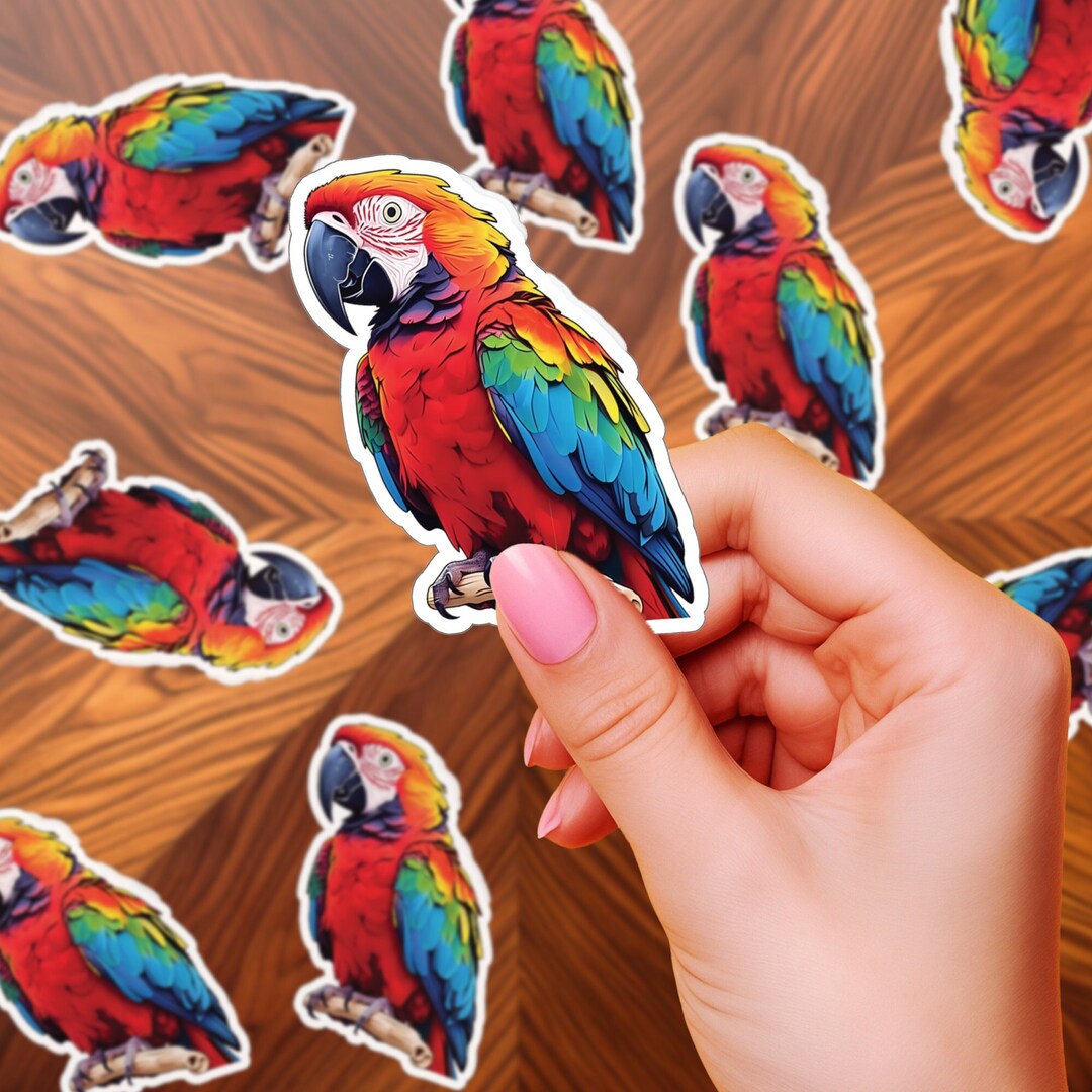 Scarlet Macaw Sticker Brazilian Macaw Decal Cute Exotic Americas Bird ...