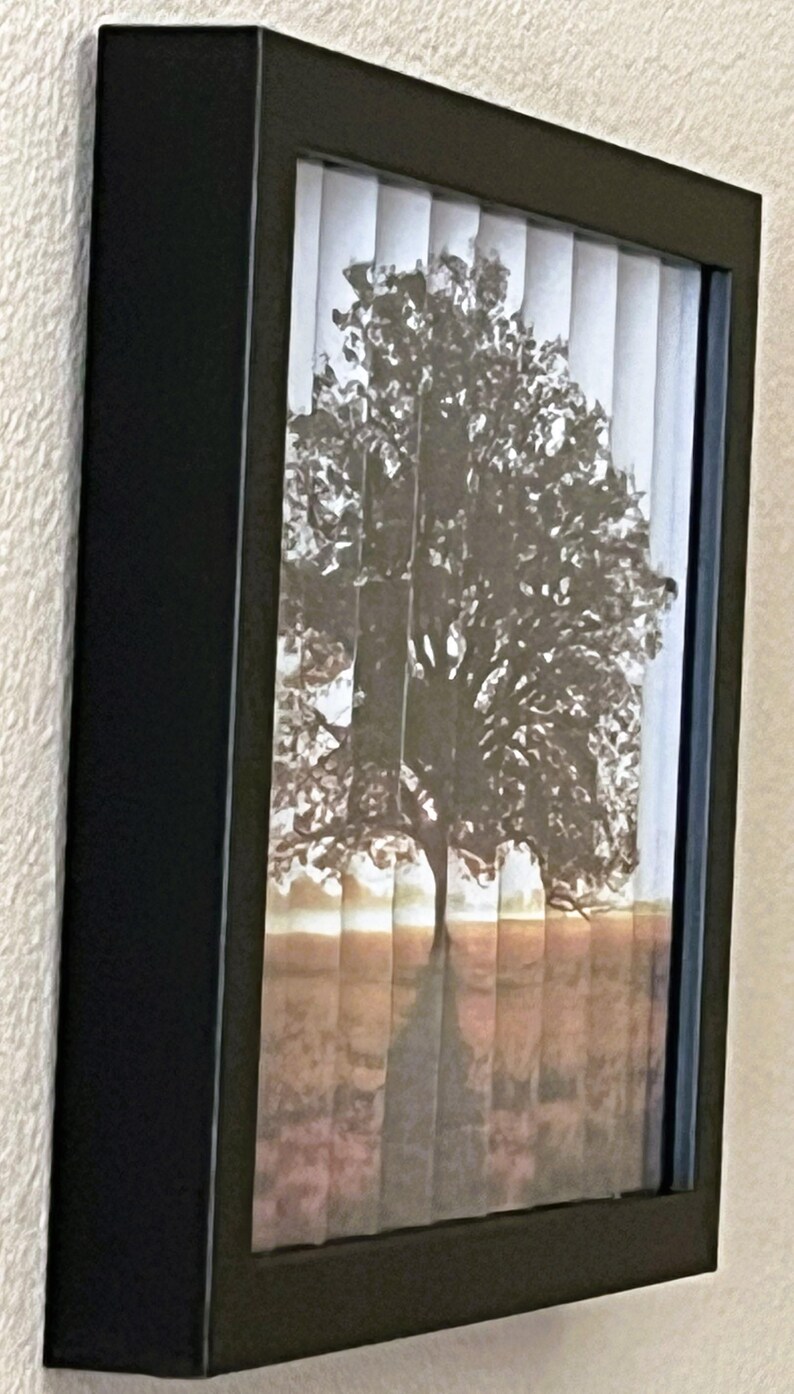 Oak Tree Agamograph: Summer to Winter Kinetic Art in 8" X 10" Frame - Etsy