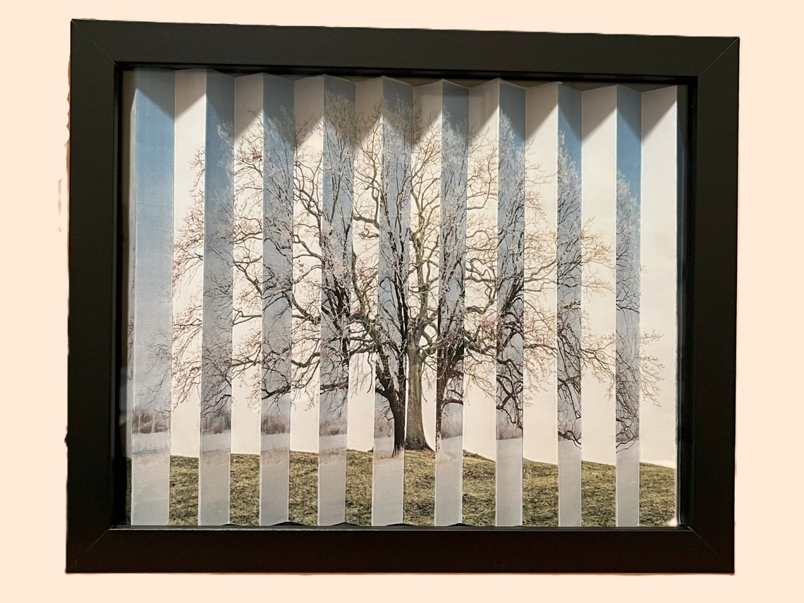 Oak Tree Kinetic Photograph, Agamograph: Winter and Spring in 8" X 10 ...