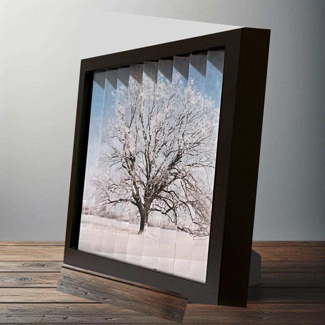 Oak Tree Kinetic Photograph, Agamograph: Winter and Spring in 8" X 10 ...