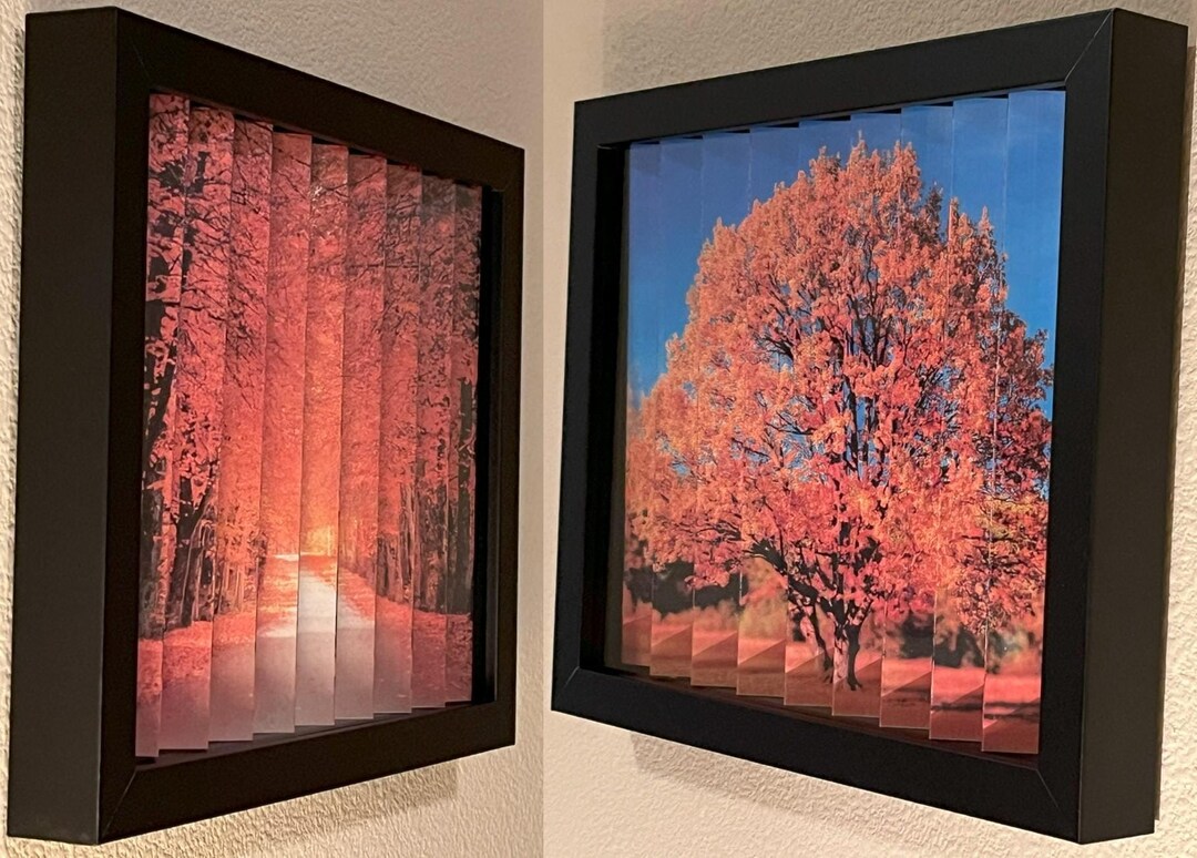 Fall Agamograph: Autumn Trees Kinetic Art in 8" X 10" Frame - Etsy