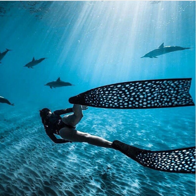 Carbon Fiber Art - Whale Shark Design Fin Blades - Apnea Range ...