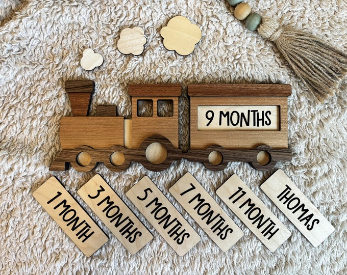 Train Baby Monthly Milestone Marker, Boy Monthly Photo Sign, Train ...
