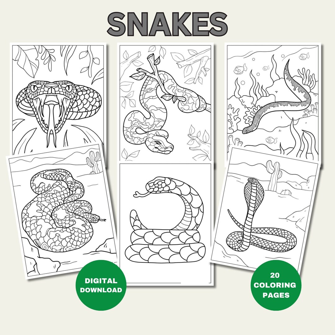 Snakes Coloring Pages, Reptile Theme Birthday Party, Reptiles Coloring ...