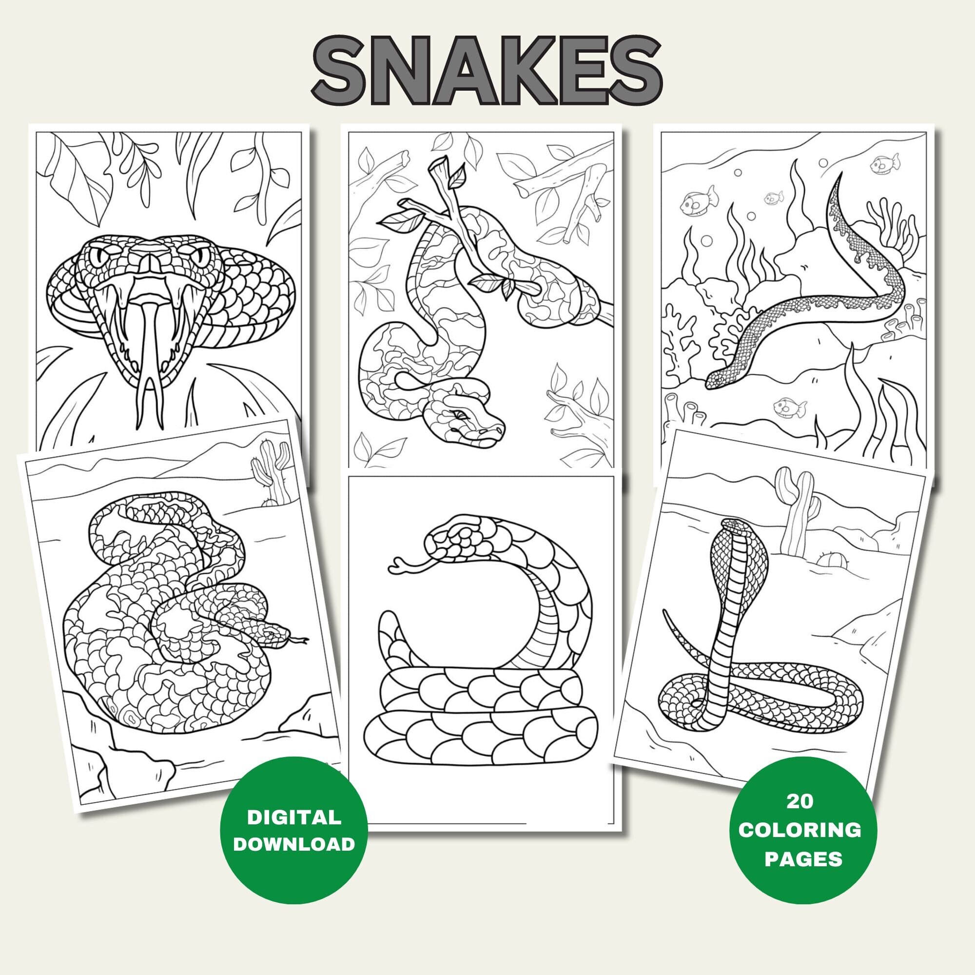 Snakes Coloring Pages, Reptile Theme Birthday Party, Reptiles Coloring ...