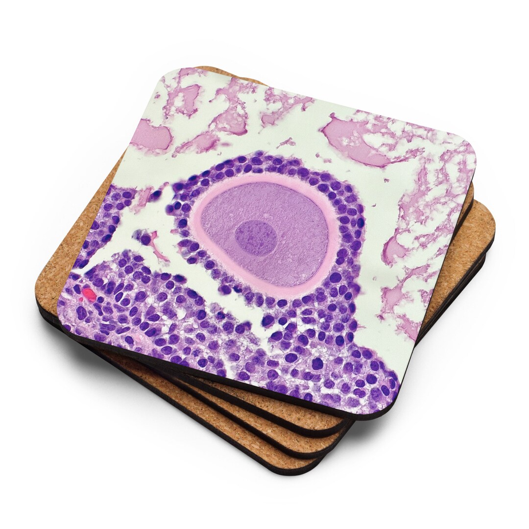 Histology Art, Pathology Gift, Doctor, Nurse Women of Science, Biology ...