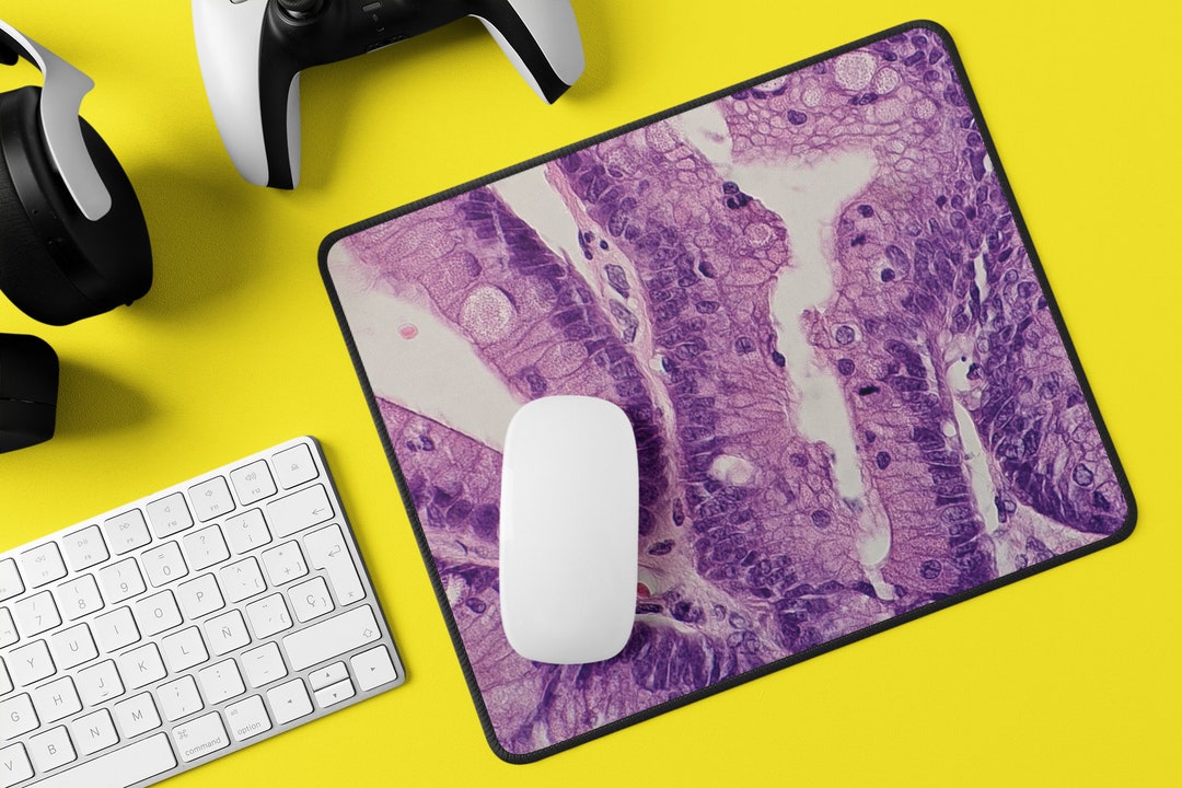 Histology Art, Pathology Gift, Doctor, Women of Science, Biology ...