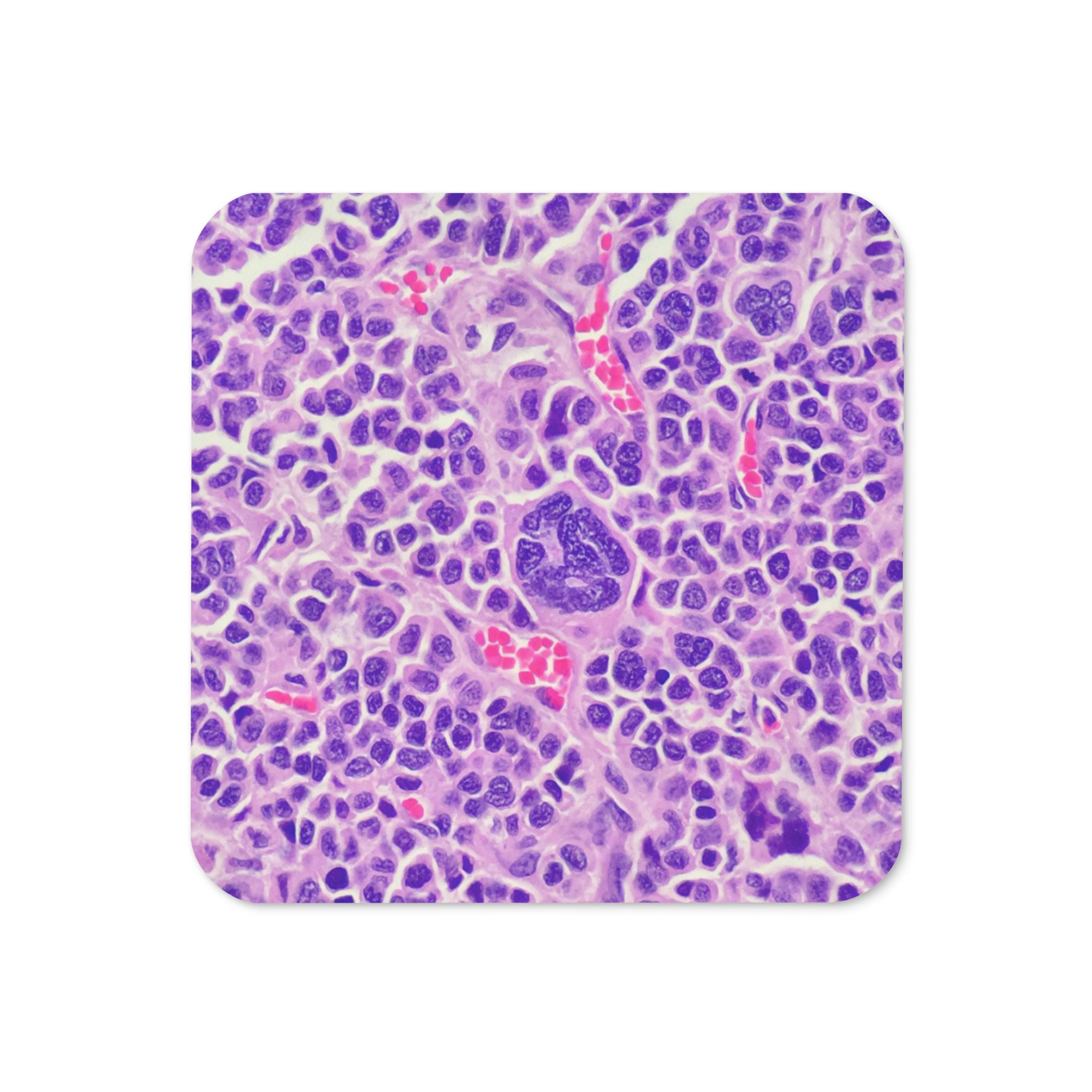 Histology Art, Pathology Gift, Doctor, Nurse Women of Science, Biology ...