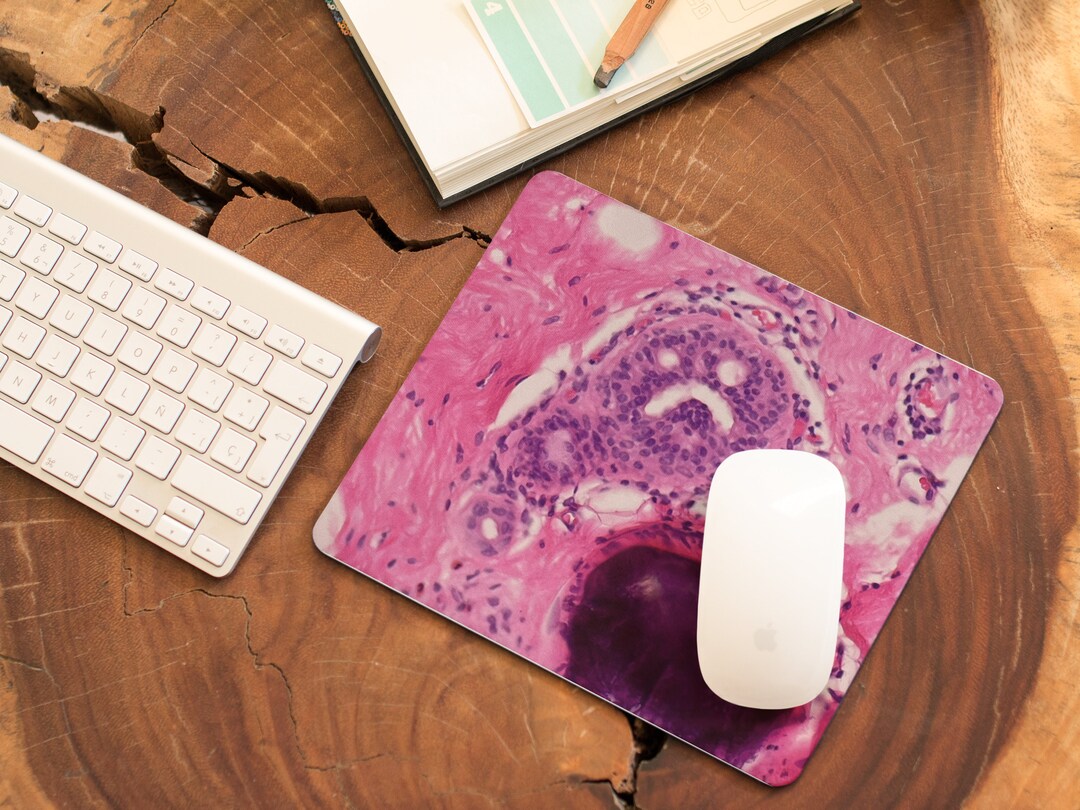 Histology Art, Pathology Gift, Doctor, Women of Science, Biology ...