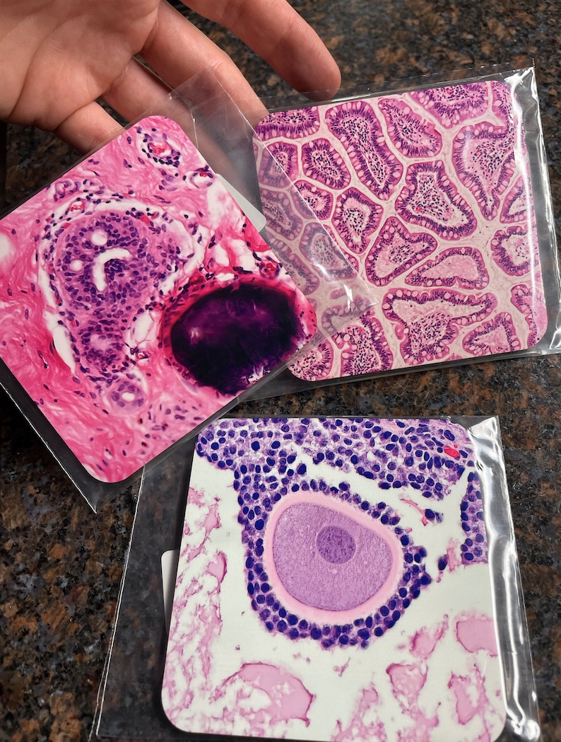 Histology Art, Pathology Gift, Doctor, Nurse Women of Science, Biology ...