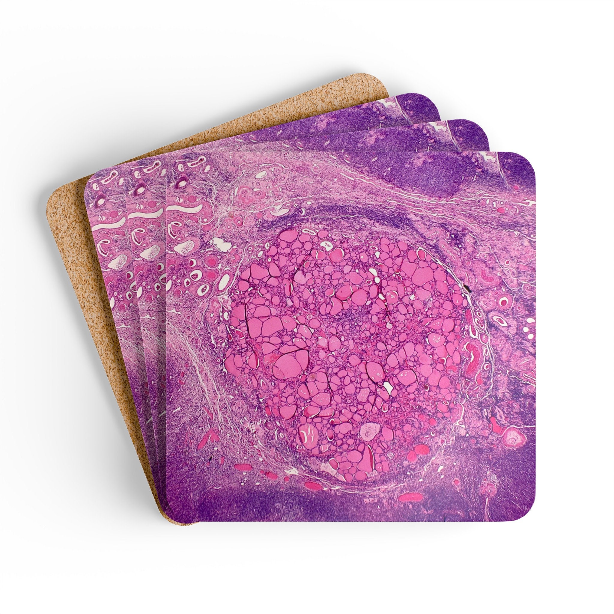 Histology Art, Pathology Gift, Doctor, Nurse Women of Science, Biology ...