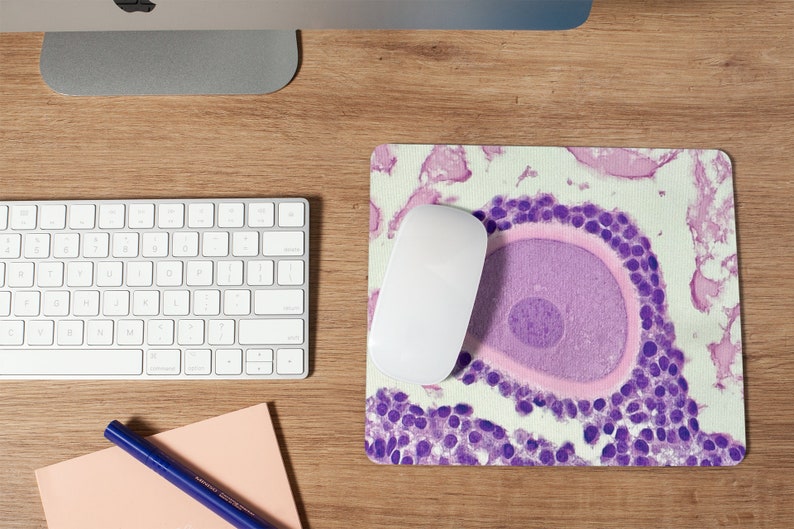 Histology Art, Pathology Gift, Doctor, Women of Science, Biology ...