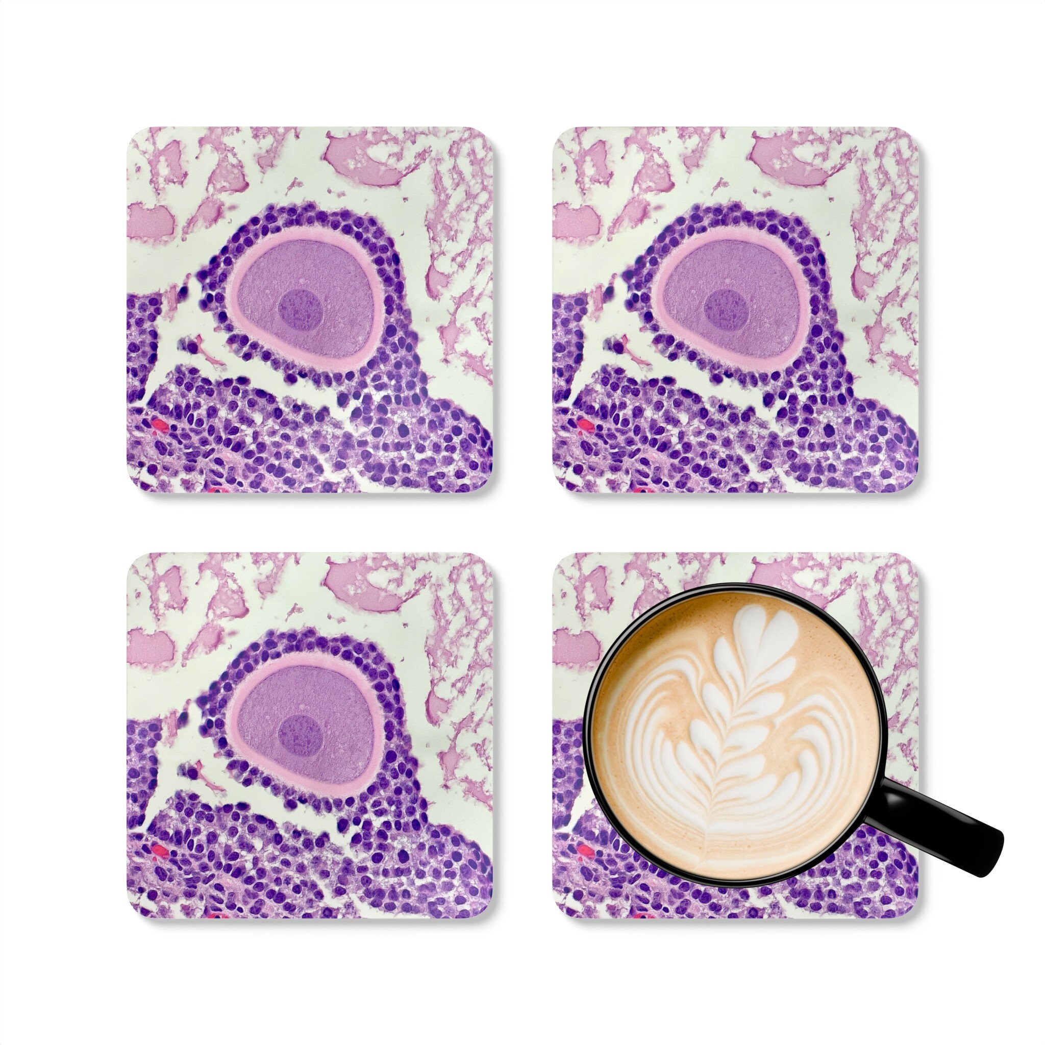 Histology Art, Pathology Gift, Doctor, Nurse Women of Science, Biology ...