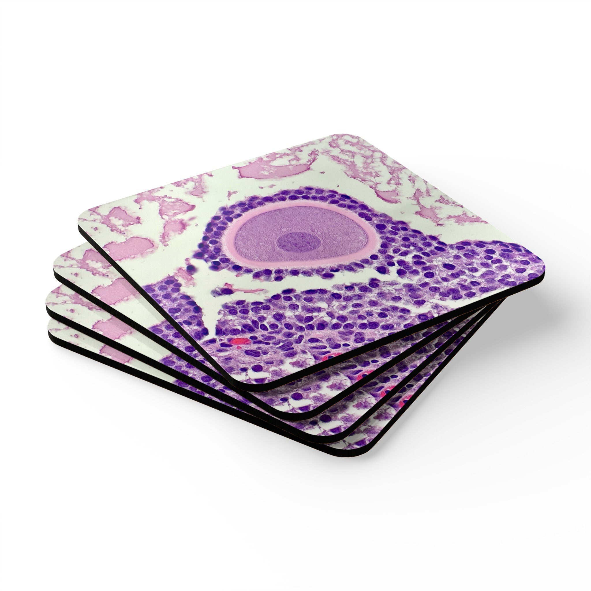 Histology Art, Pathology Gift, Doctor, Nurse Women of Science, Biology ...