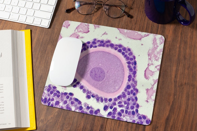 Histology Art, Pathology Gift, Doctor, Women of Science, Biology ...