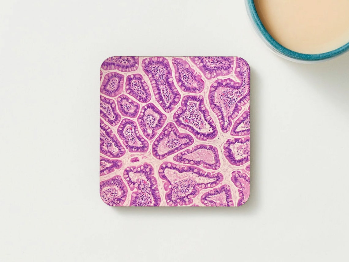 Histology Art, Pathology Gift, Doctor, Nurse Women of Science, Biology ...