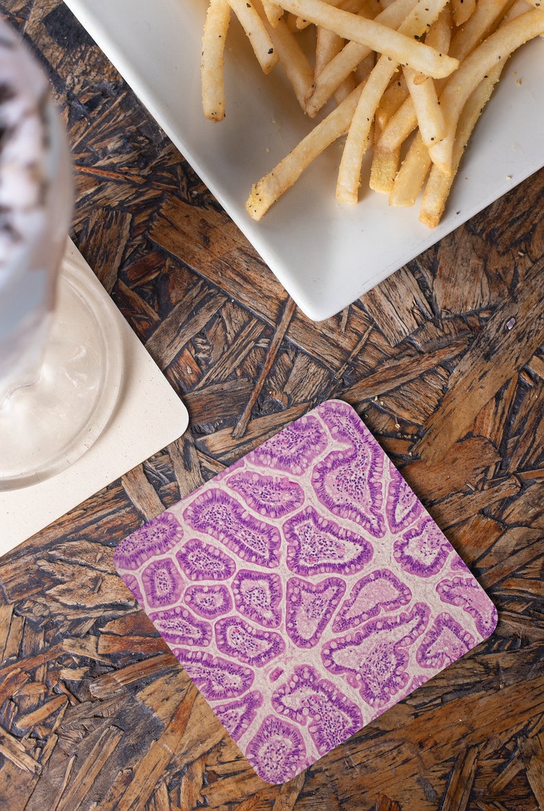 Histology Art, Pathology Gift, Doctor, Nurse Women of Science, Biology ...