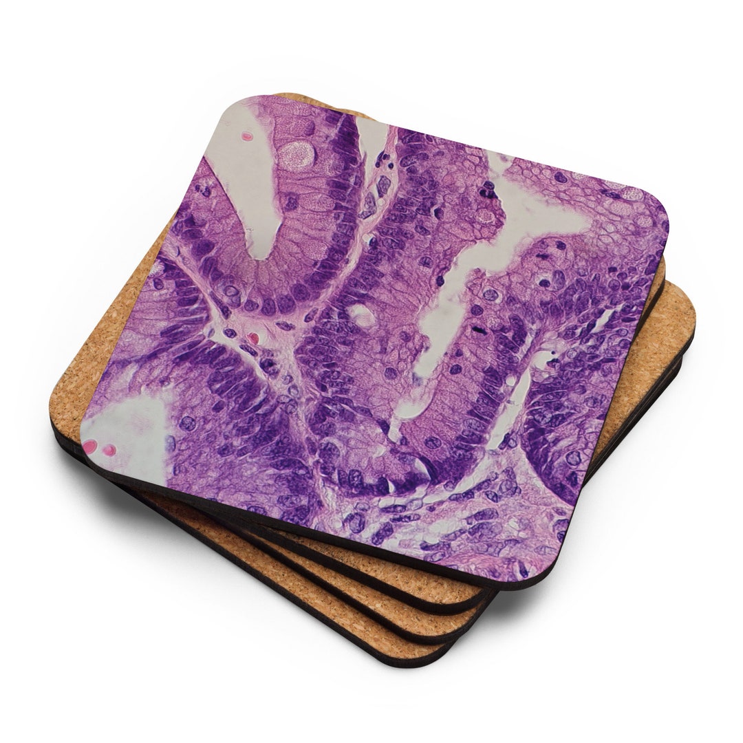 Histology Art, Pathology Gift, Doctor, Nurse Women of Science, Biology ...