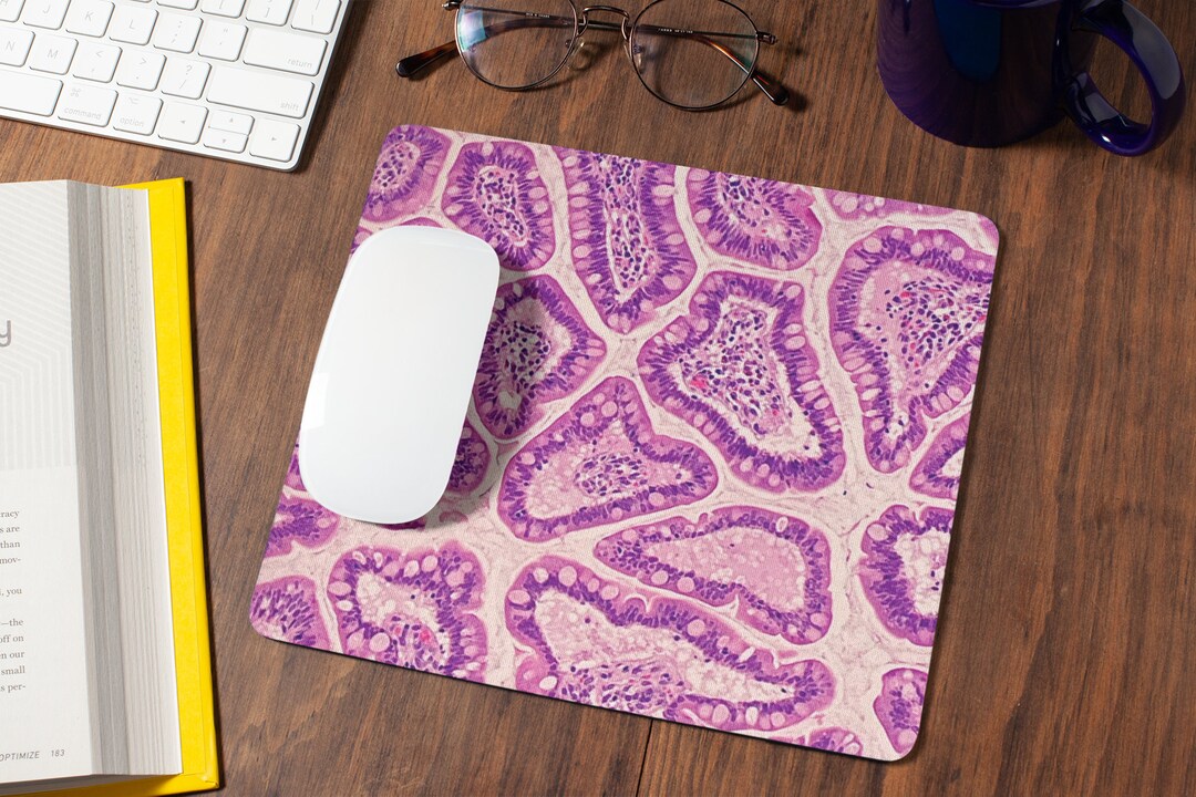 Histology Art, Pathology Gift, Doctor, Women of Science, Biology ...