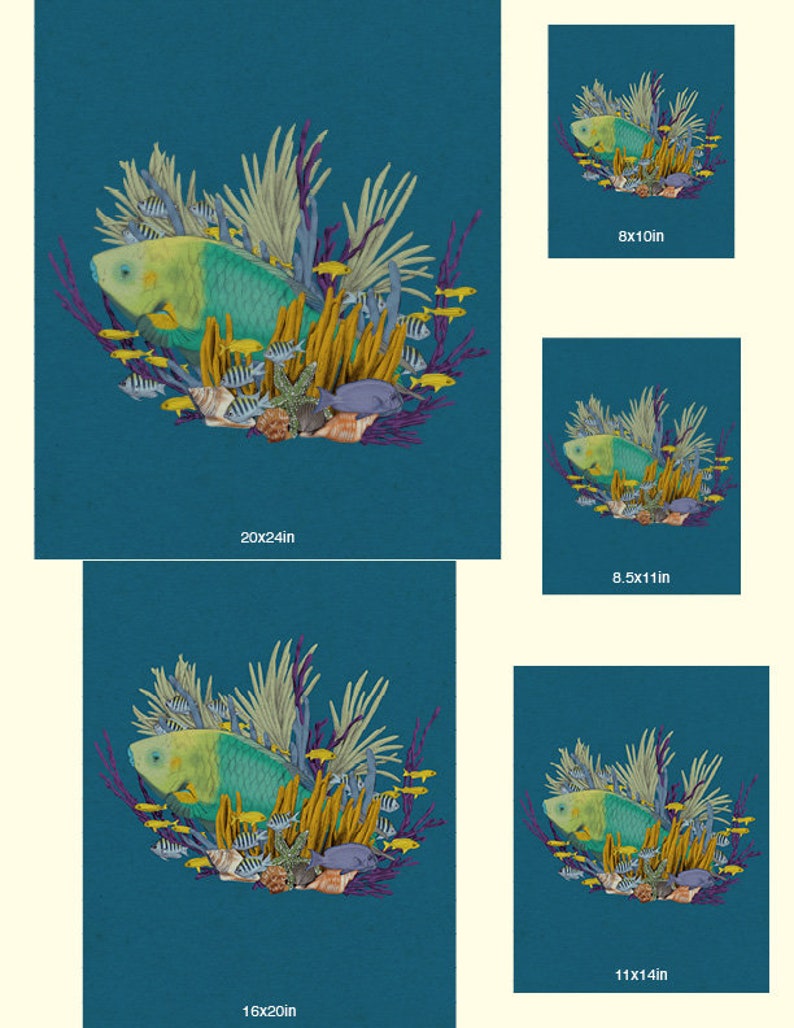 Rainbow Parrotfish Printable Art | Digital Download | Wall Art ...