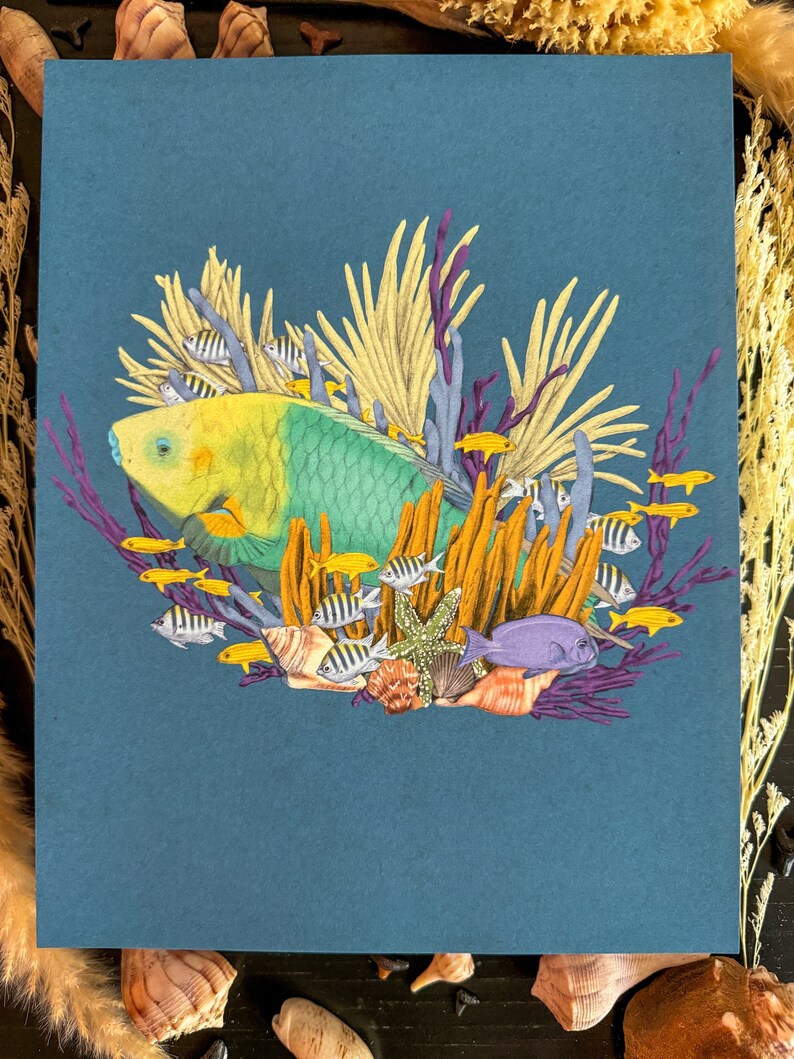Rainbow Parrotfish Printable Art | Digital Download | Wall Art ...