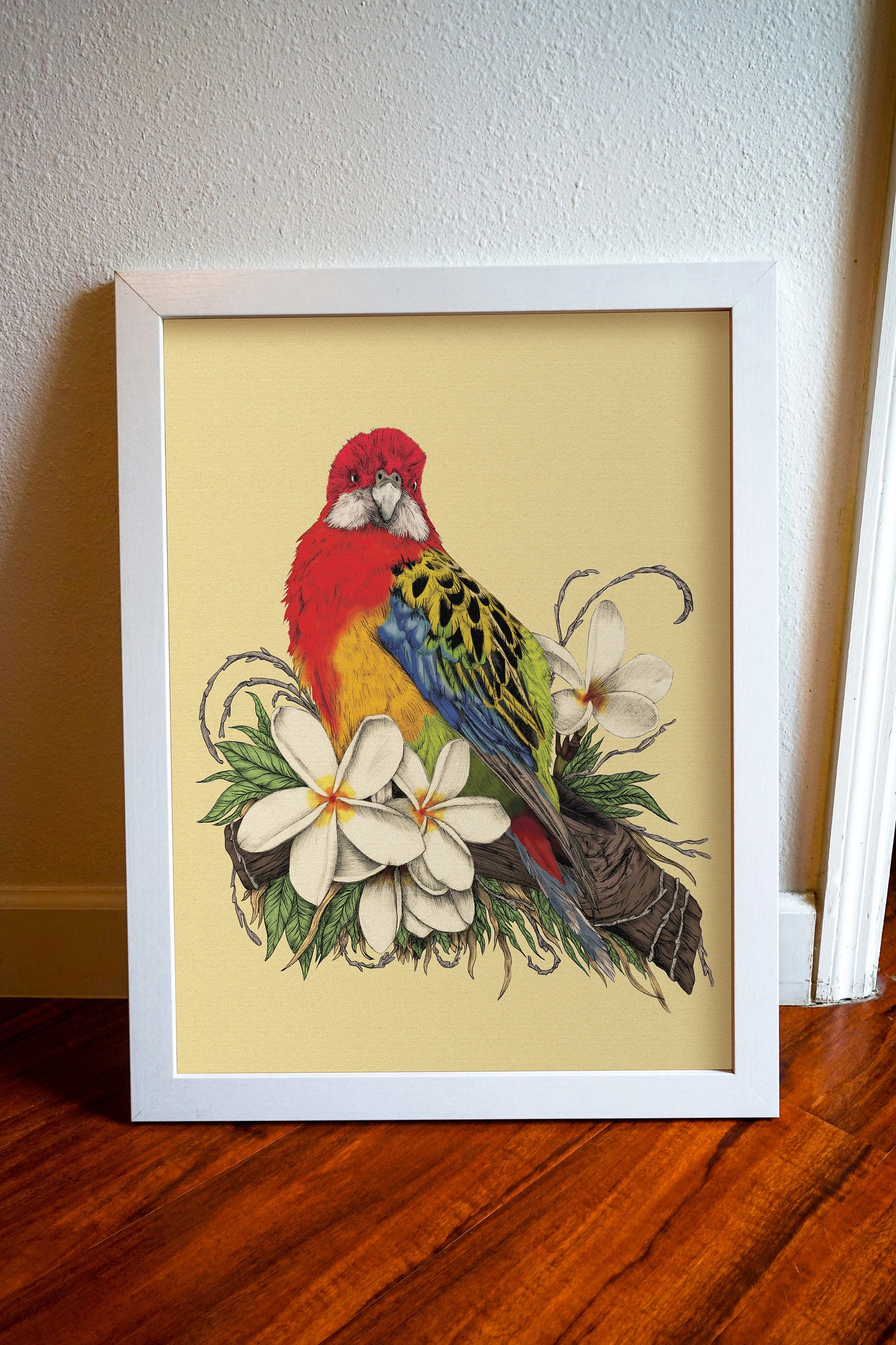 Eastern Rosella Printable Art | Digital Download | Wall Art | Australia ...
