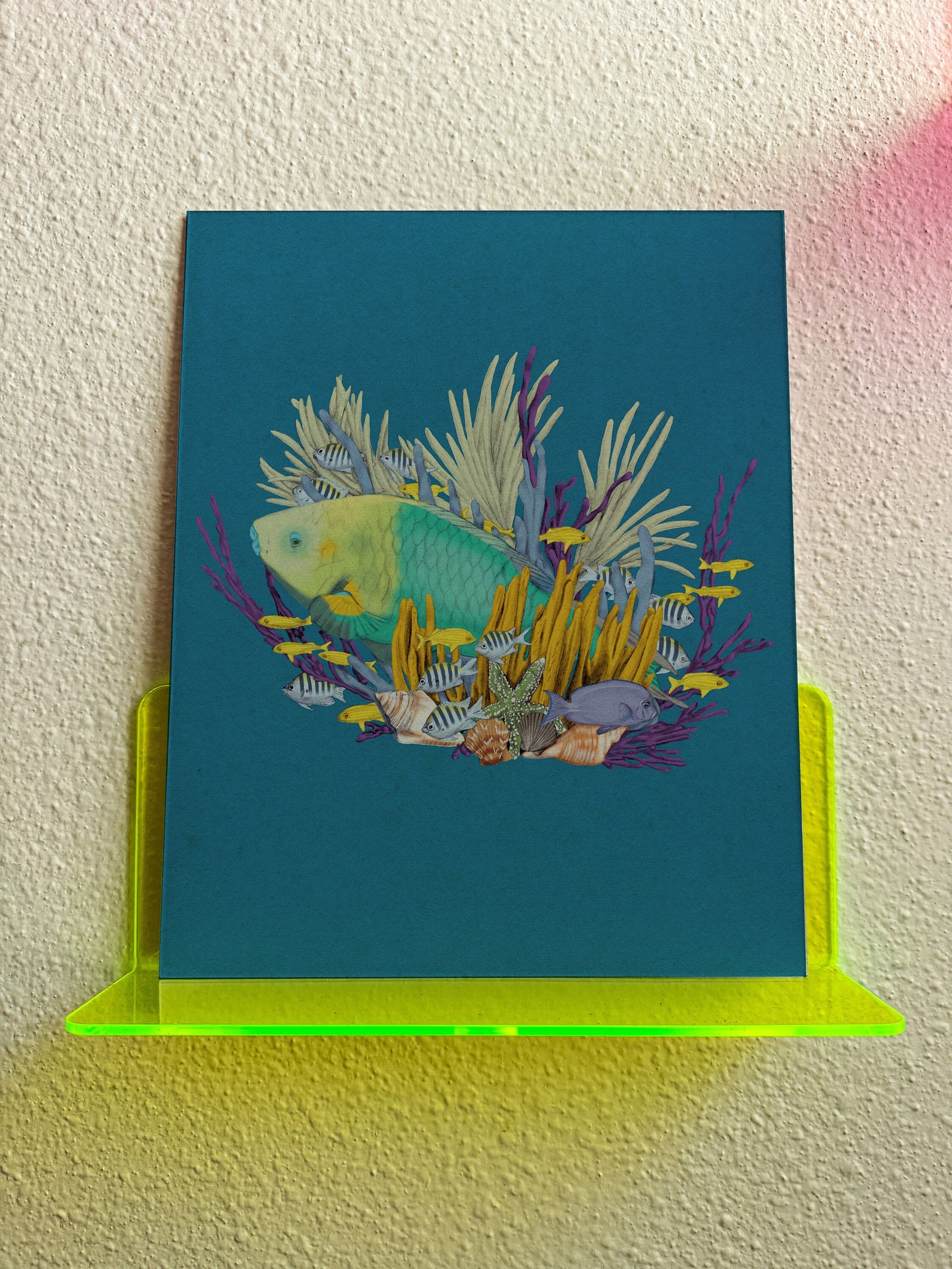 Rainbow Parrotfish Printable Art | Digital Download | Wall Art ...