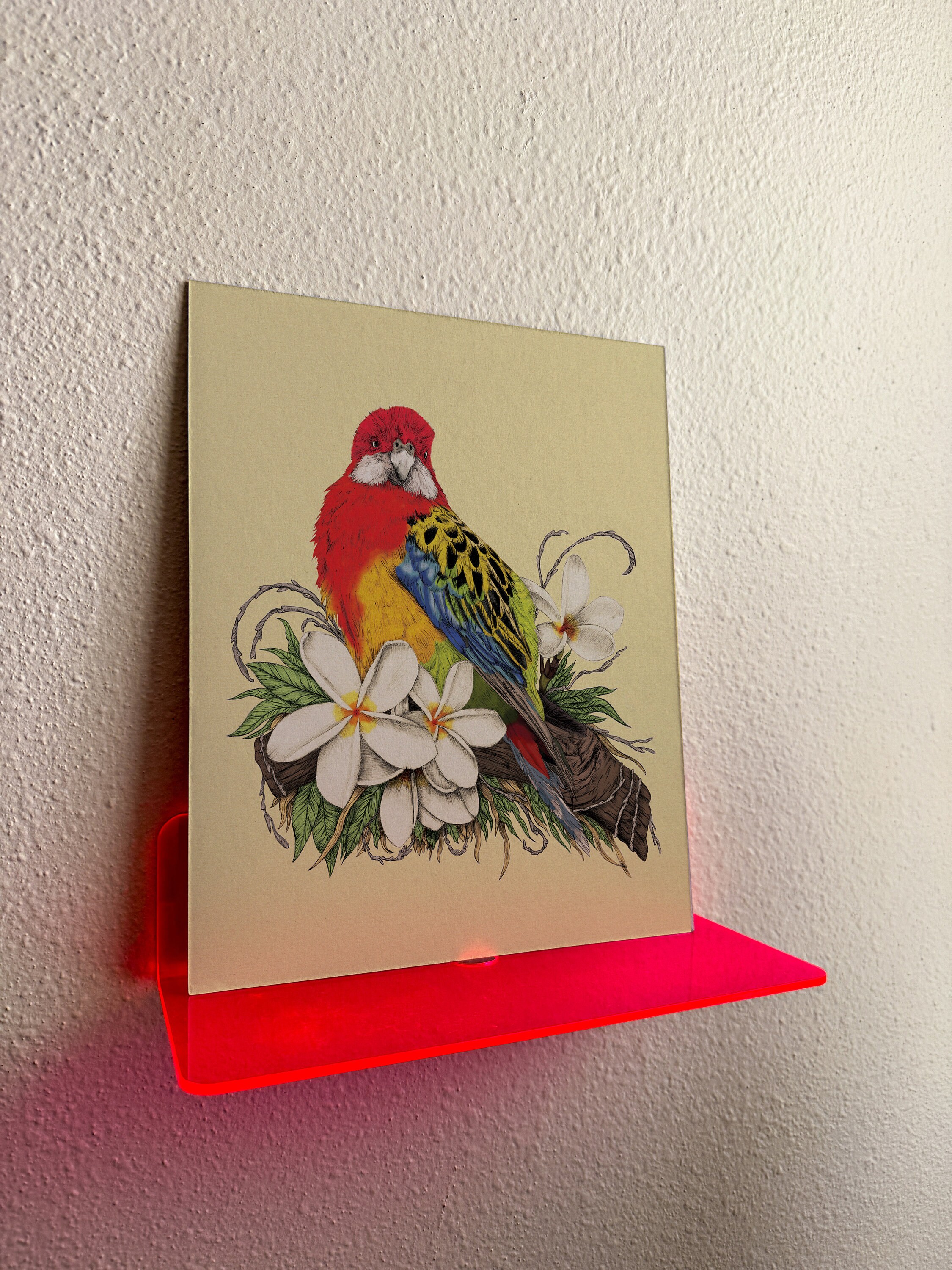 Eastern Rosella Printable Art | Digital Download | Wall Art | Australia ...