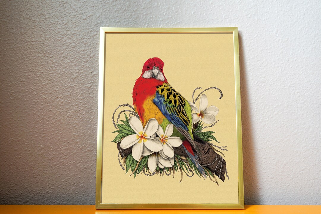 Eastern Rosella Printable Art | Digital Download | Wall Art | Australia ...