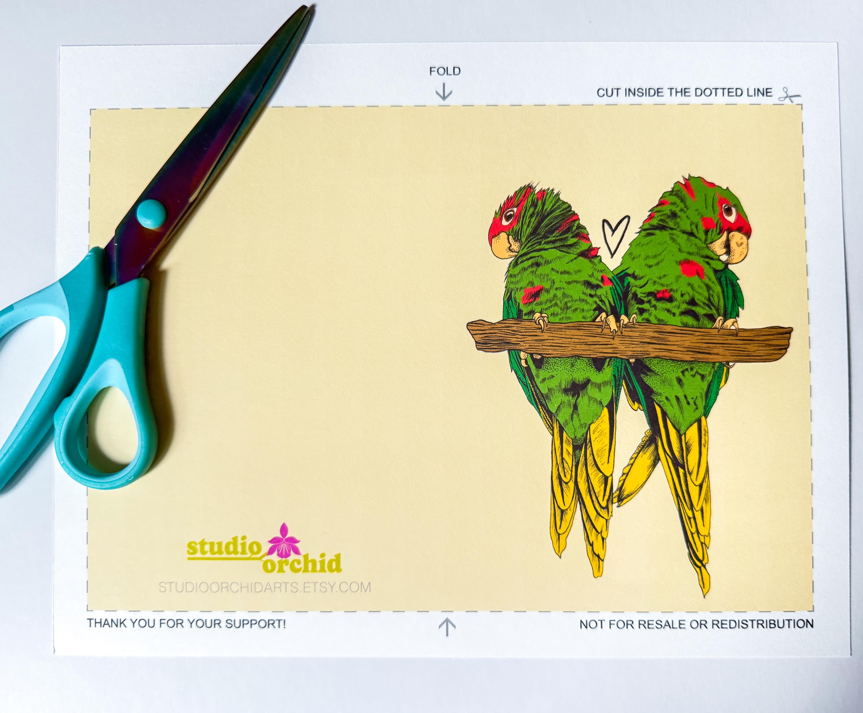 Parrots Print at Home Greeting Card | Instant Download | 5x7 Multi ...