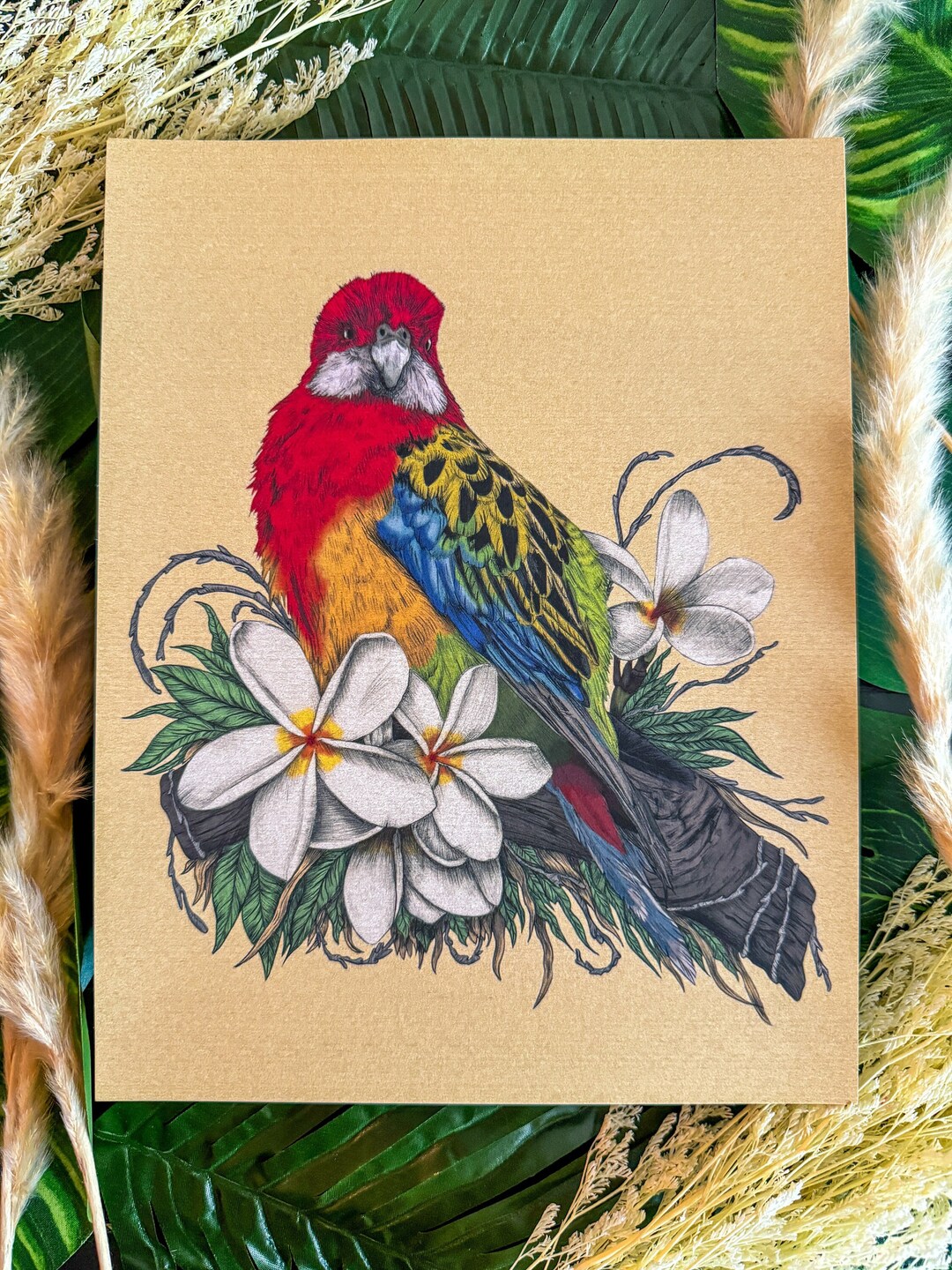 Eastern Rosella Printable Art | Digital Download | Wall Art | Australia ...