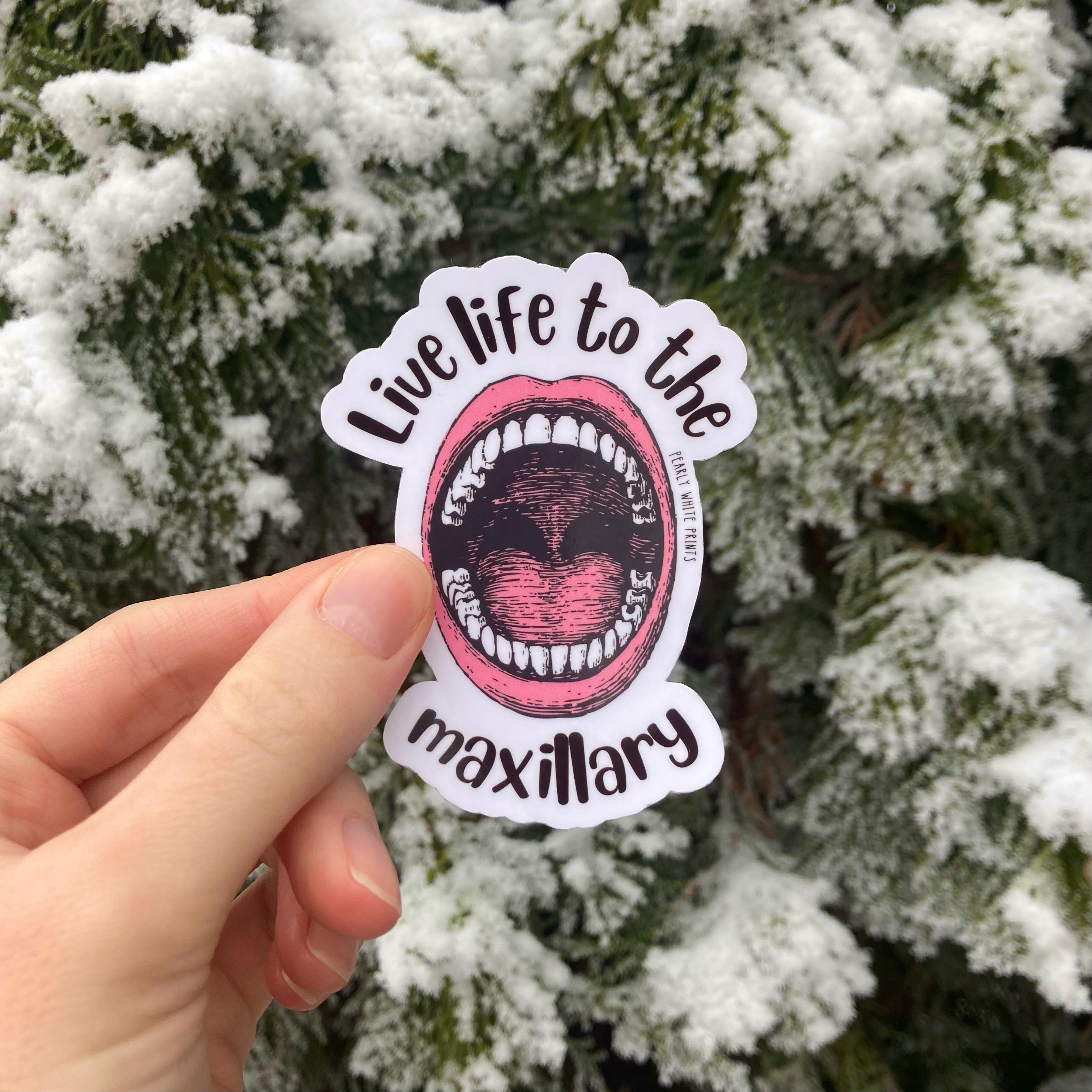 Live Life to the Maxillary Dental Sticker | Rdh Sticker | Dentalhygiene ...