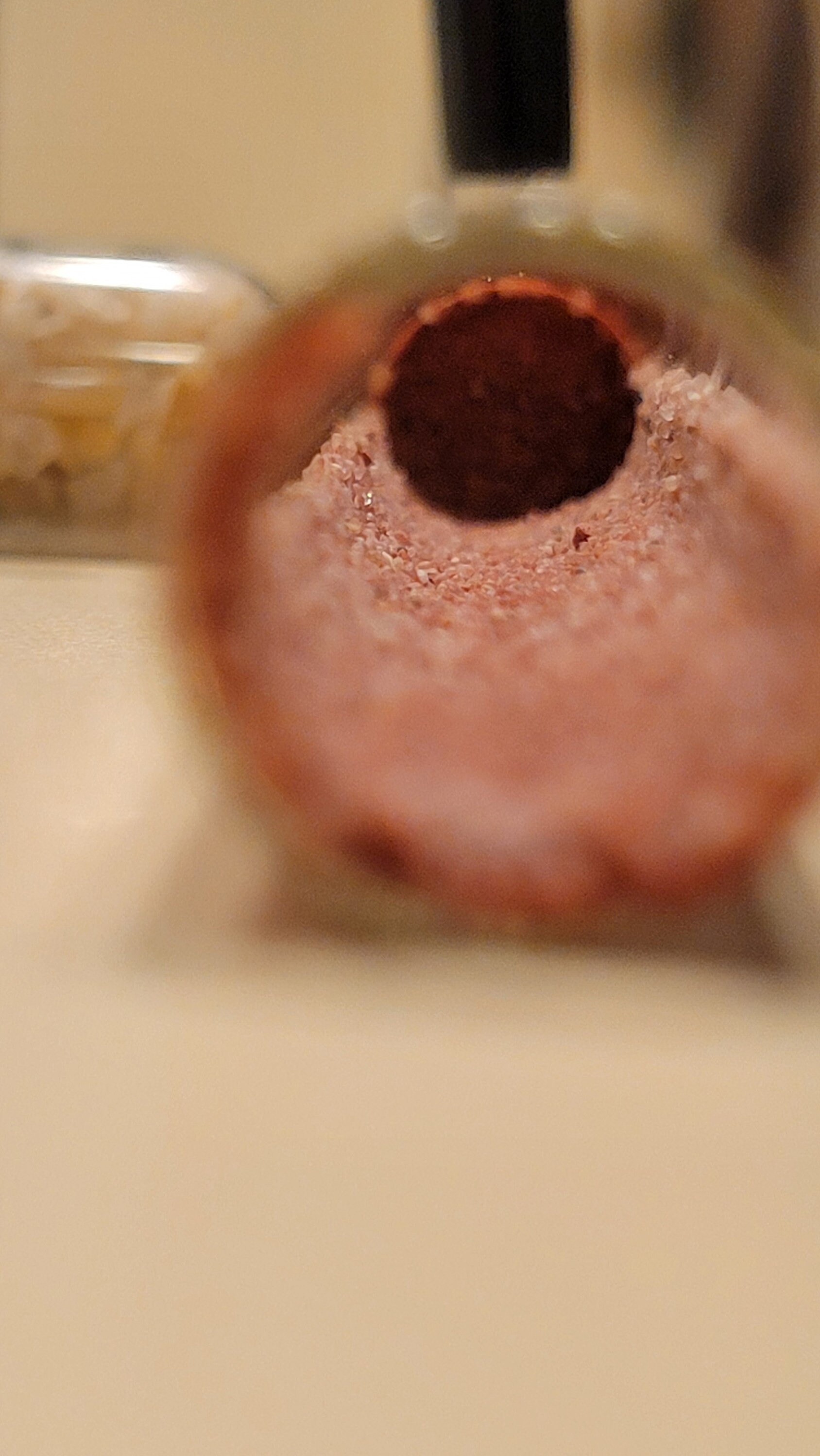 Ant Queen Test Tube 15mm X 150mm Sand/plaster - Etsy