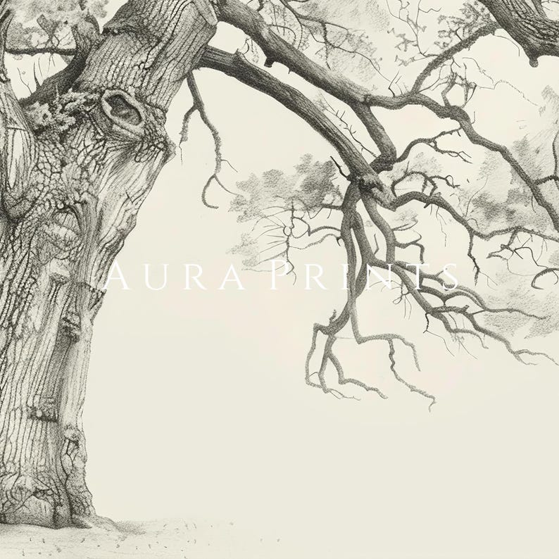 Vintage Oak Tree Pencil Sketch | Digital Download | Neutral Wall Decor ...
