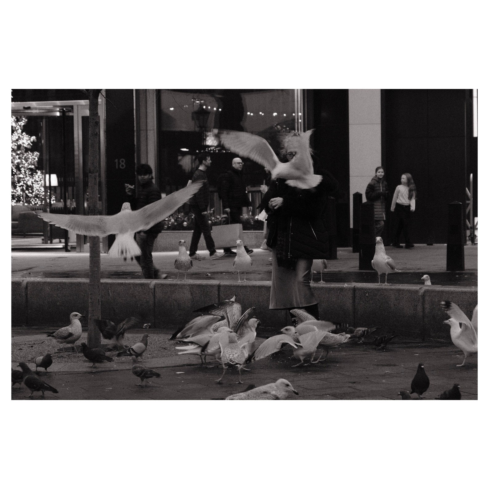 Original Photography, for Download, Poster, Wall Art, Original Art ...
