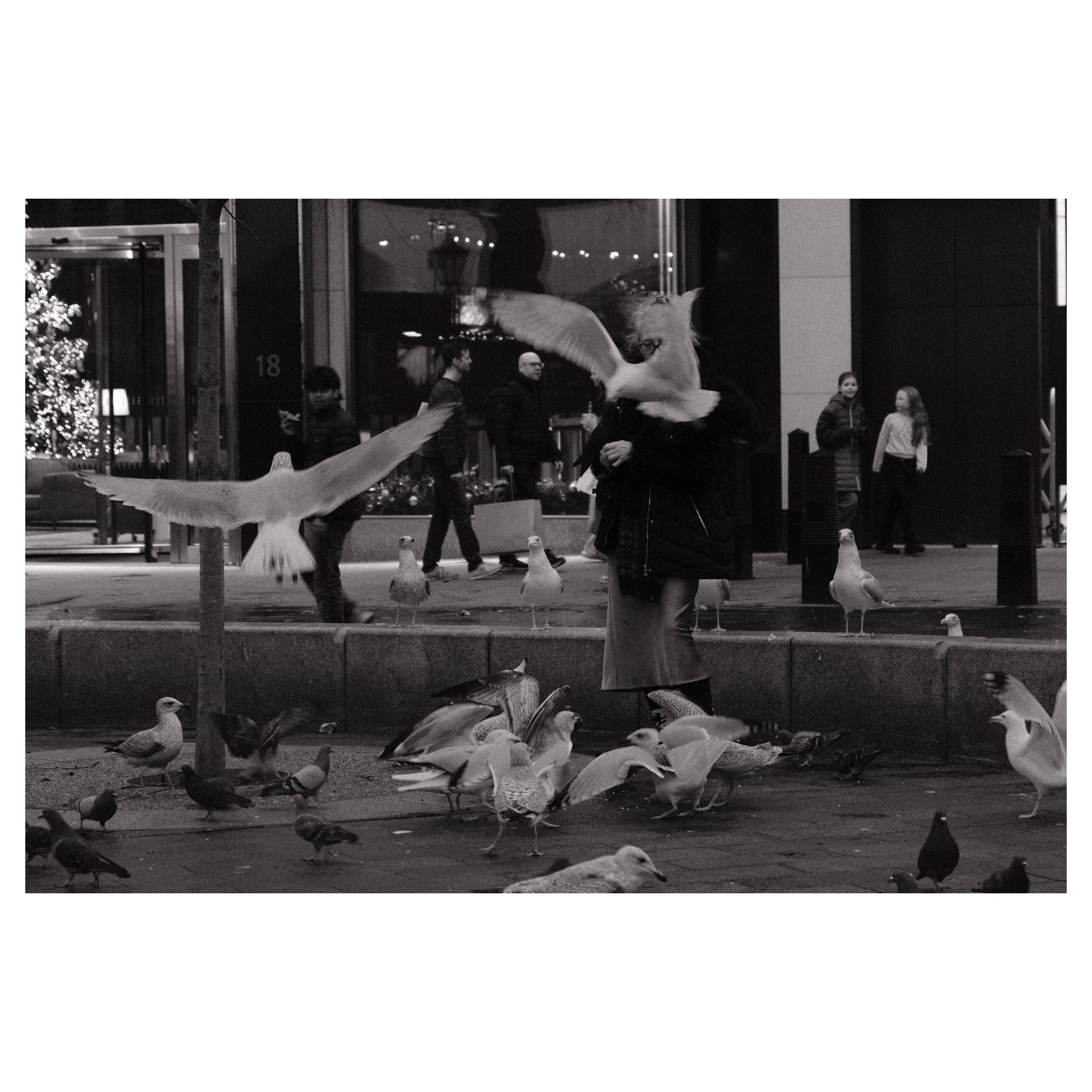 Original Photography, for Download, Poster, Wall Art, Original Art ...