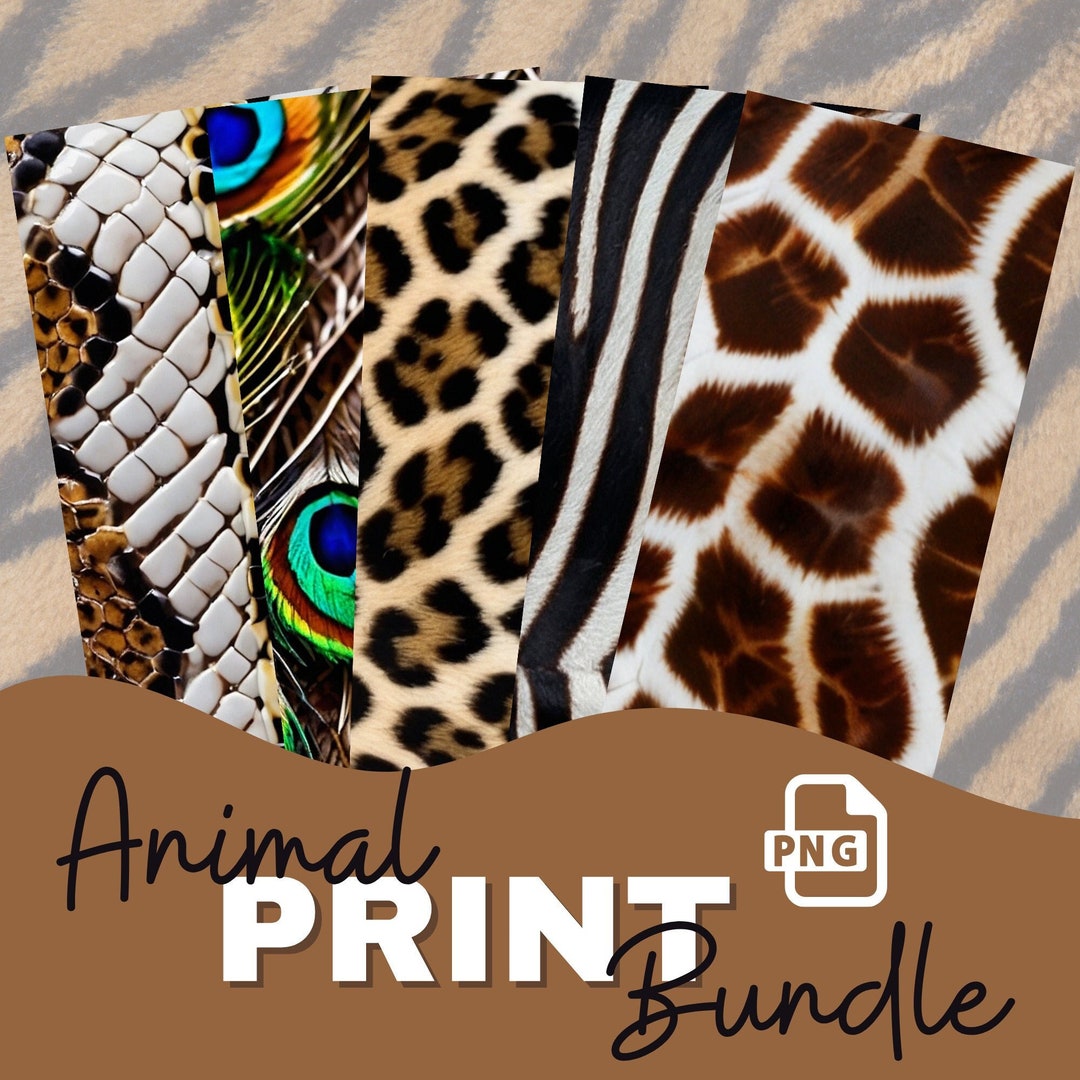 10 Animal Print Pattern Animal Pattern Pattern Download PNG Pattern ...