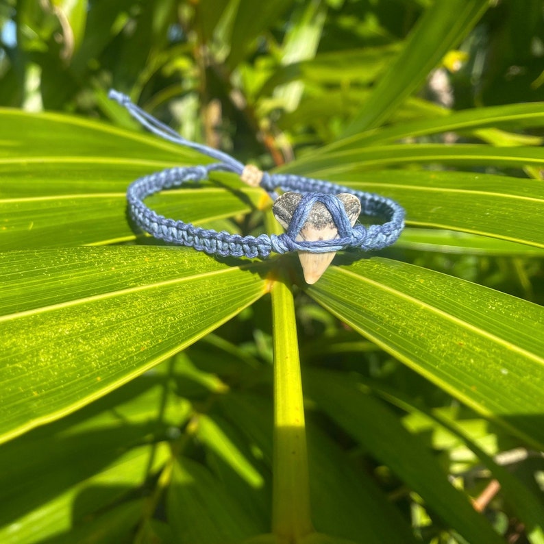 Handmade Shark Tooth Anklet - Small/kids Size - Etsy Australia