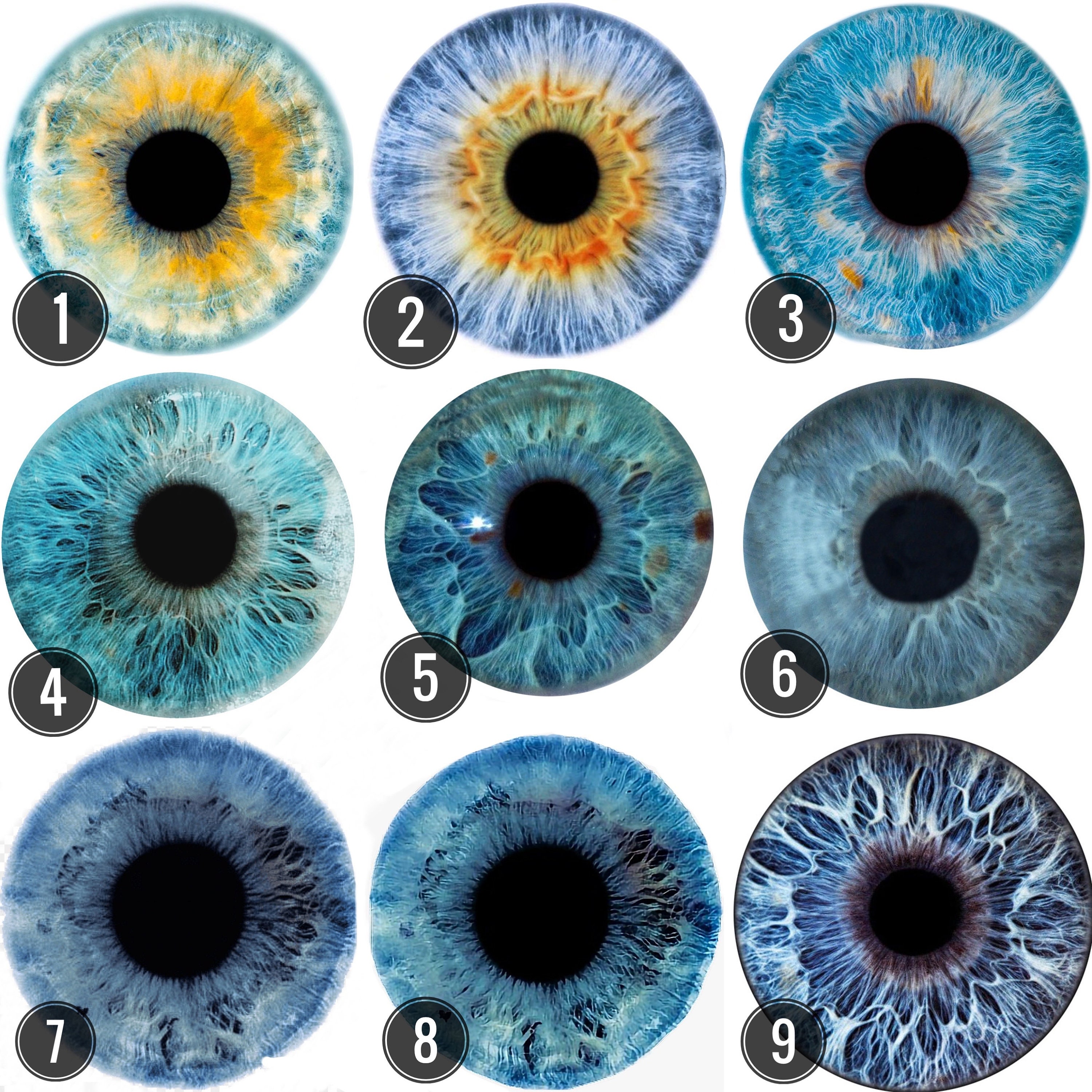 Awakening Eye Pendant, Blue Eye Necklace, Eye Jewelry, Doll Eye ...