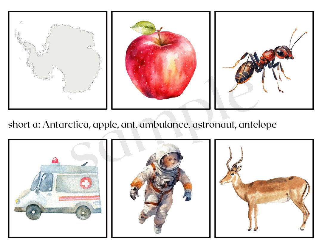 Montessori I Spy Cards (digital Download) - Etsy