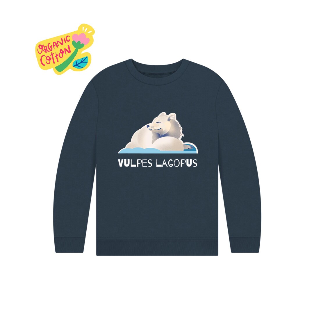 Kids Organic Cotton Arctic Fox Jumper: Animal Hoodie - Etsy