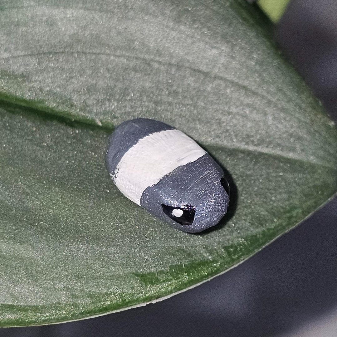 Hand Made Clay Isopod Magnetic Plant Charms - Panda King - Etsy