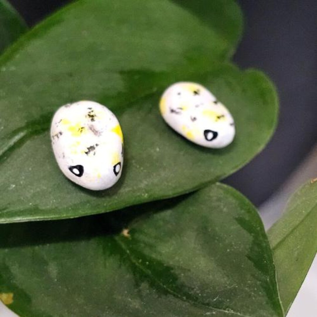 Handmade Clay Isopod Plant Charm- Magic Potion - Etsy