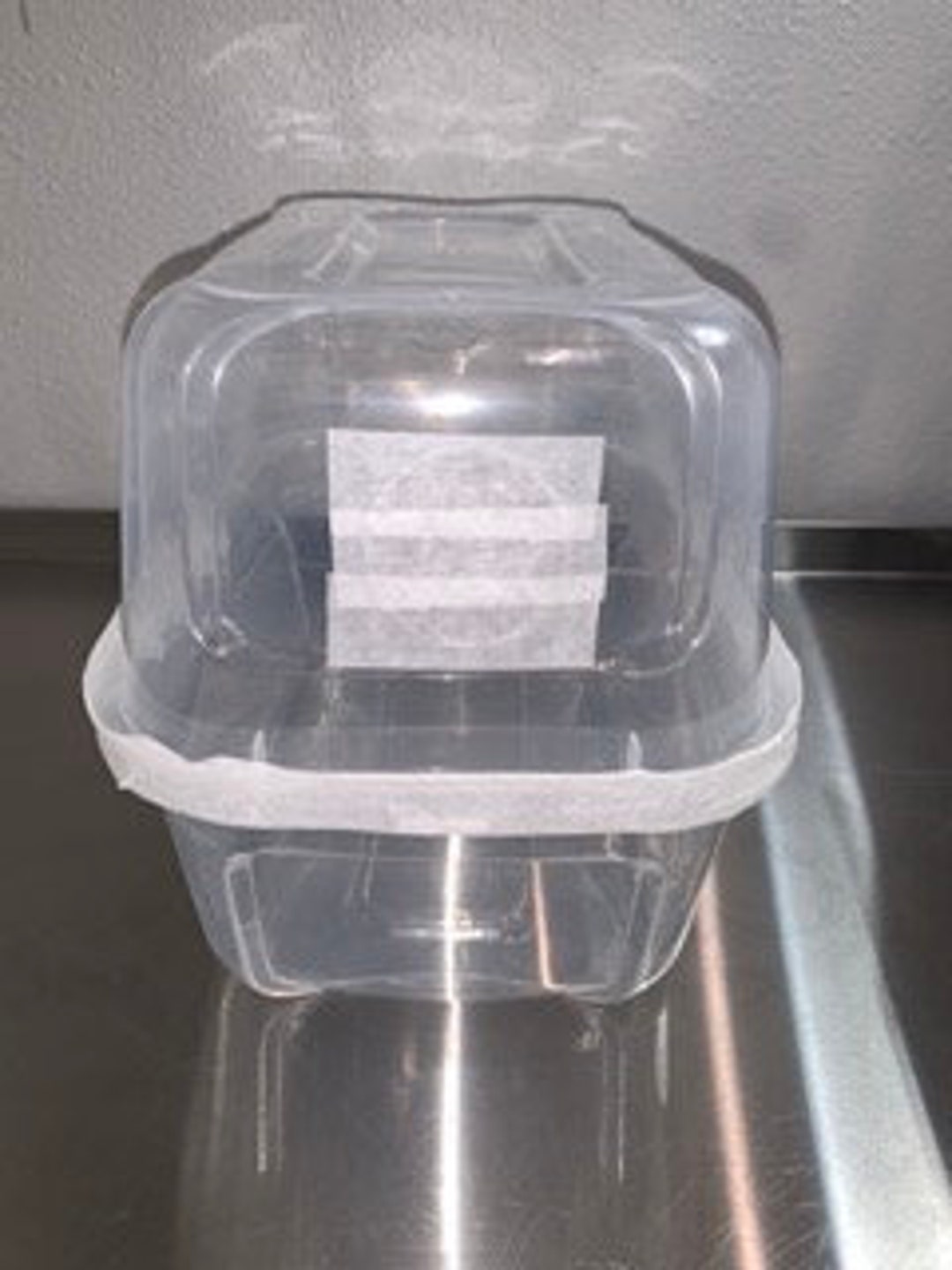 Beginner's Mushroom Fruiting Chamber: Grow Kit for Fungi Cultivation ...