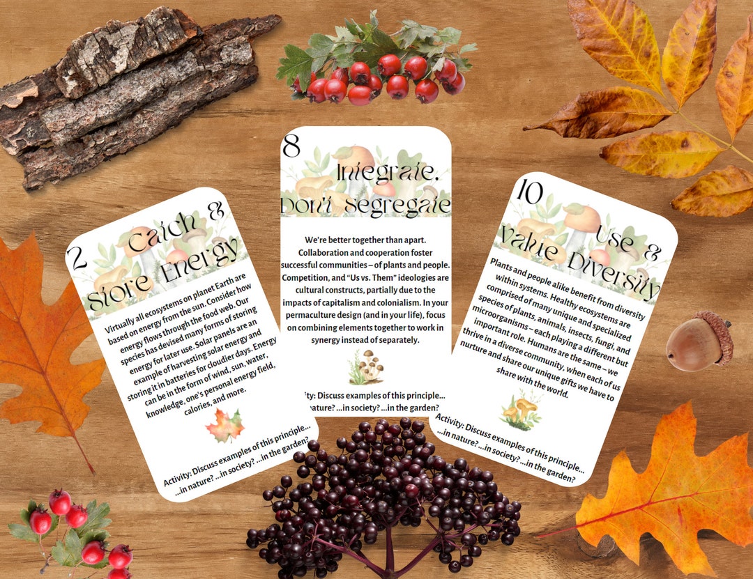 Permaculture Principles Activity Cards FLASH CARDS Digital Download PDF ...