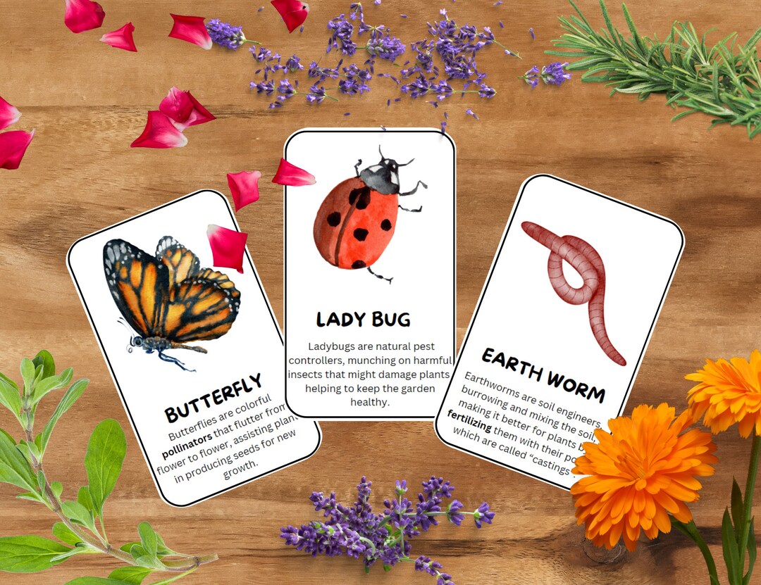 Garden Critters FLASHCARDS Fun Educational Minibeasts Digital Download ...
