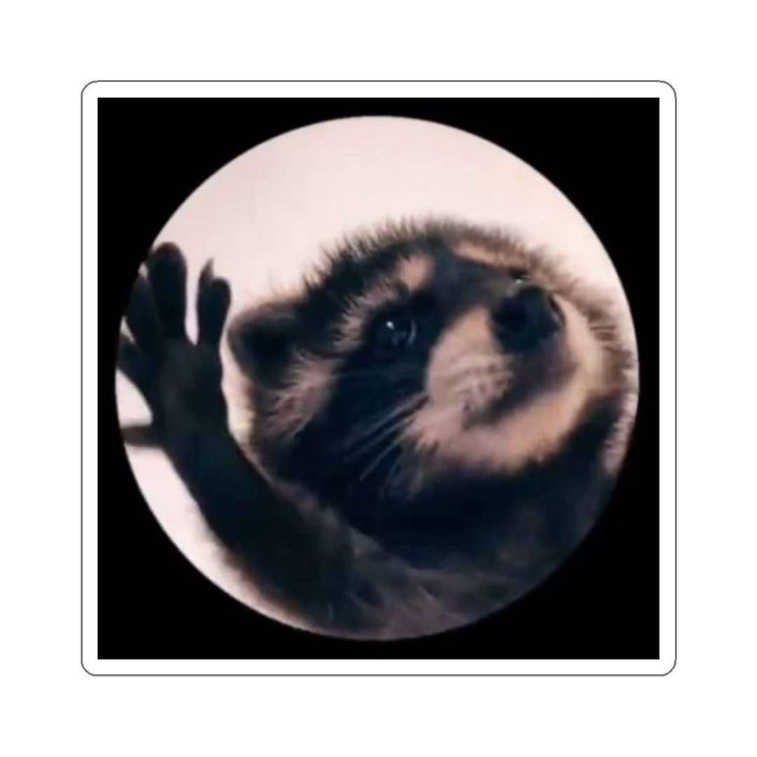 Pedro Pedro Pedro Raccoon Dancing Sticker Tiktok Meme, Cute Laptop ...