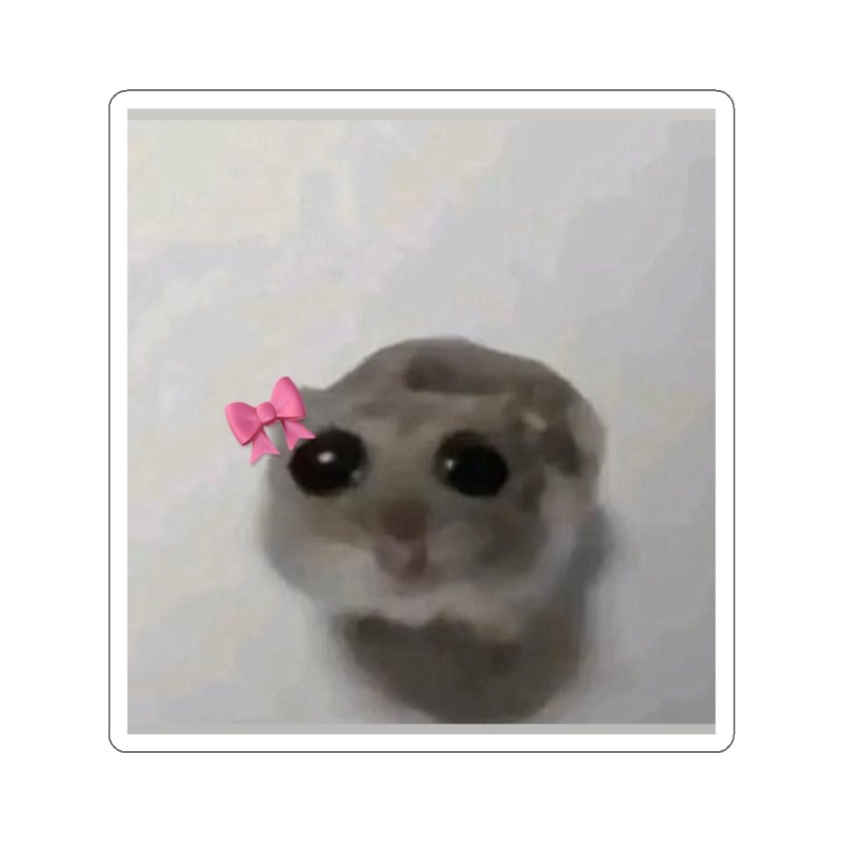 Hamster meme, tiktok trend, tiktok meme, funny hamster, cute hamster ...