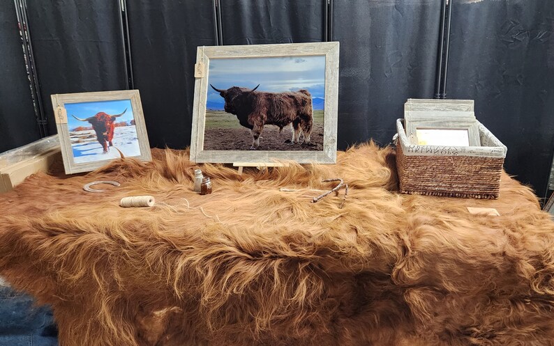 Highland Hide Rugs - Etsy