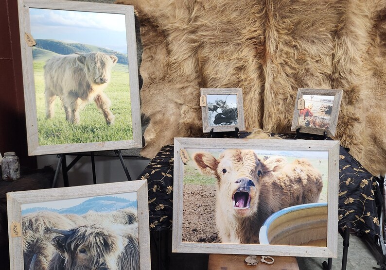 Highland Hide Rugs - Etsy